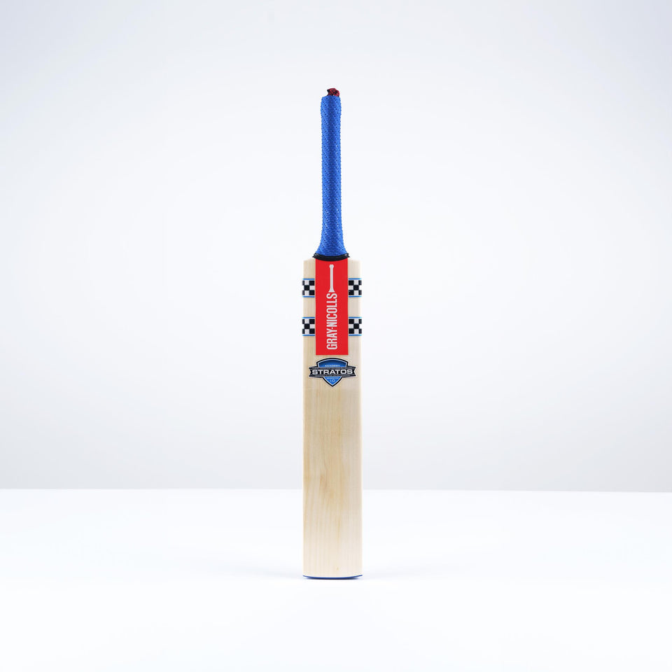 How to care for your new bat
